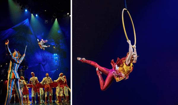 부산→서울 공연 확정 태양의서커스 ‘쿠자(KOOZA)’ 5월 15일 서울공연 티켓 오픈